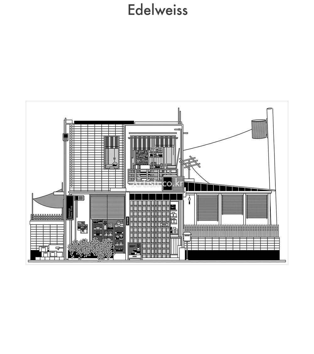 Edelweiss - 아티쉬